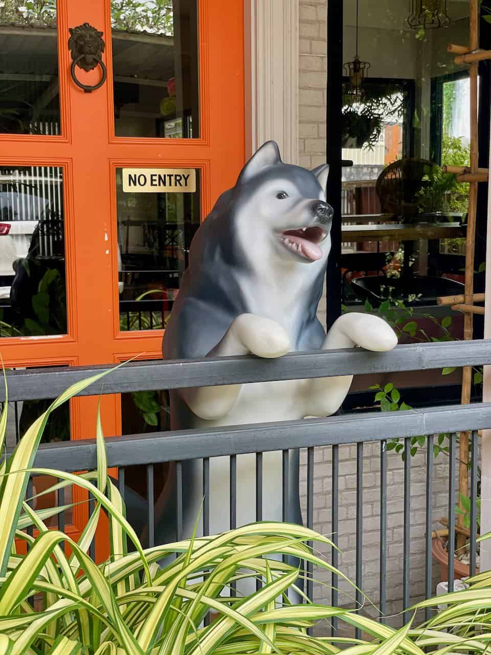 Bangkok Husky Cafe Offers Great Experience 2024 - Digital Roamad Life