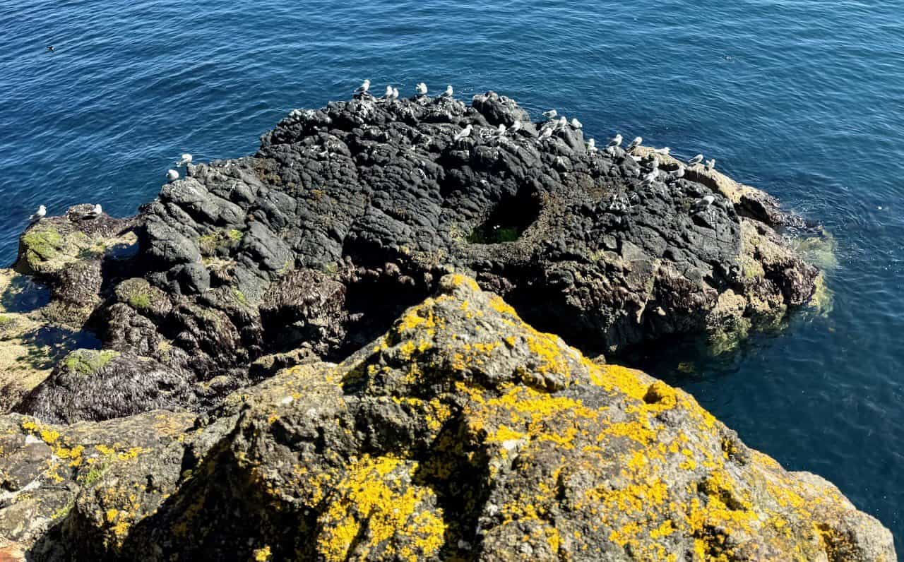 The Gobbins Cliff Path | Belfast, Northern Ireland - Digital Roamad Life